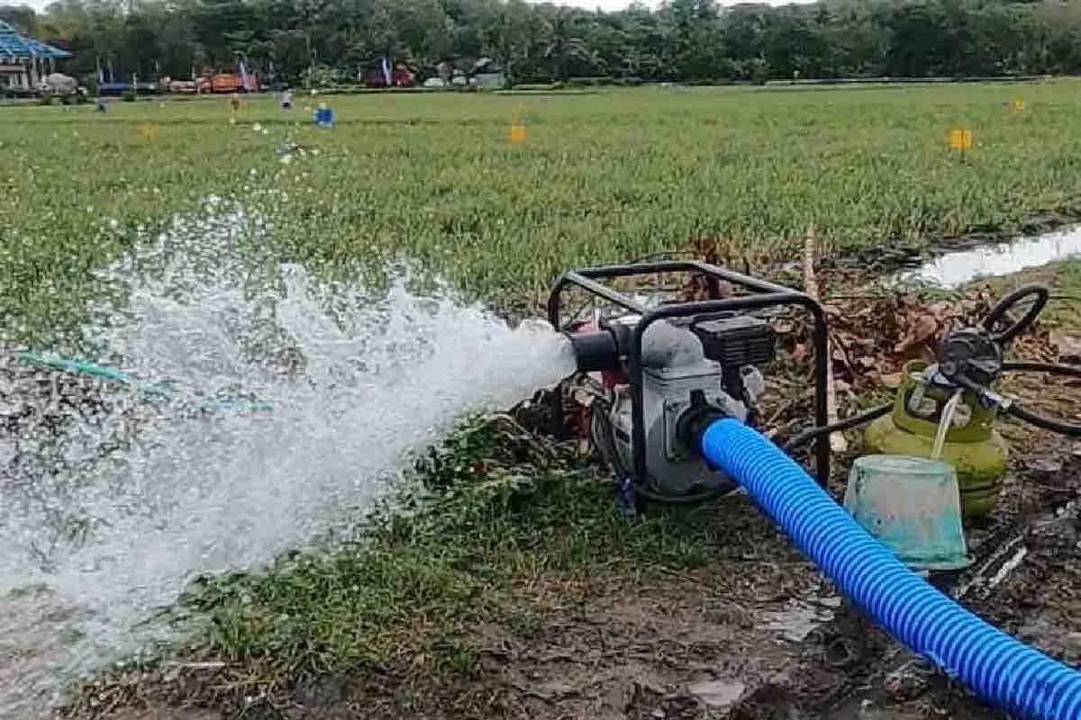 Bantu Petani Atasi Kekeringan Sawah Kementan Buka Hotline P