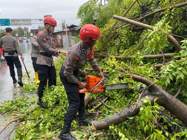 Tim SAR Ditsamapda Polda Sulteng Gerak Cepat Singkirkan Poho Tim SAR Ditsamapda Polda Sulteng Gerak Cepat Singkirkan Poho